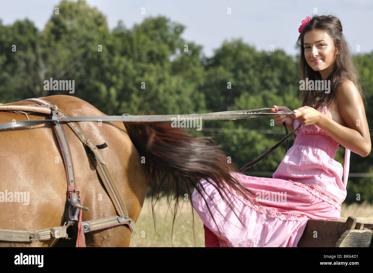 beautiful young woman riding an old carriage Stock Photo - Alamy