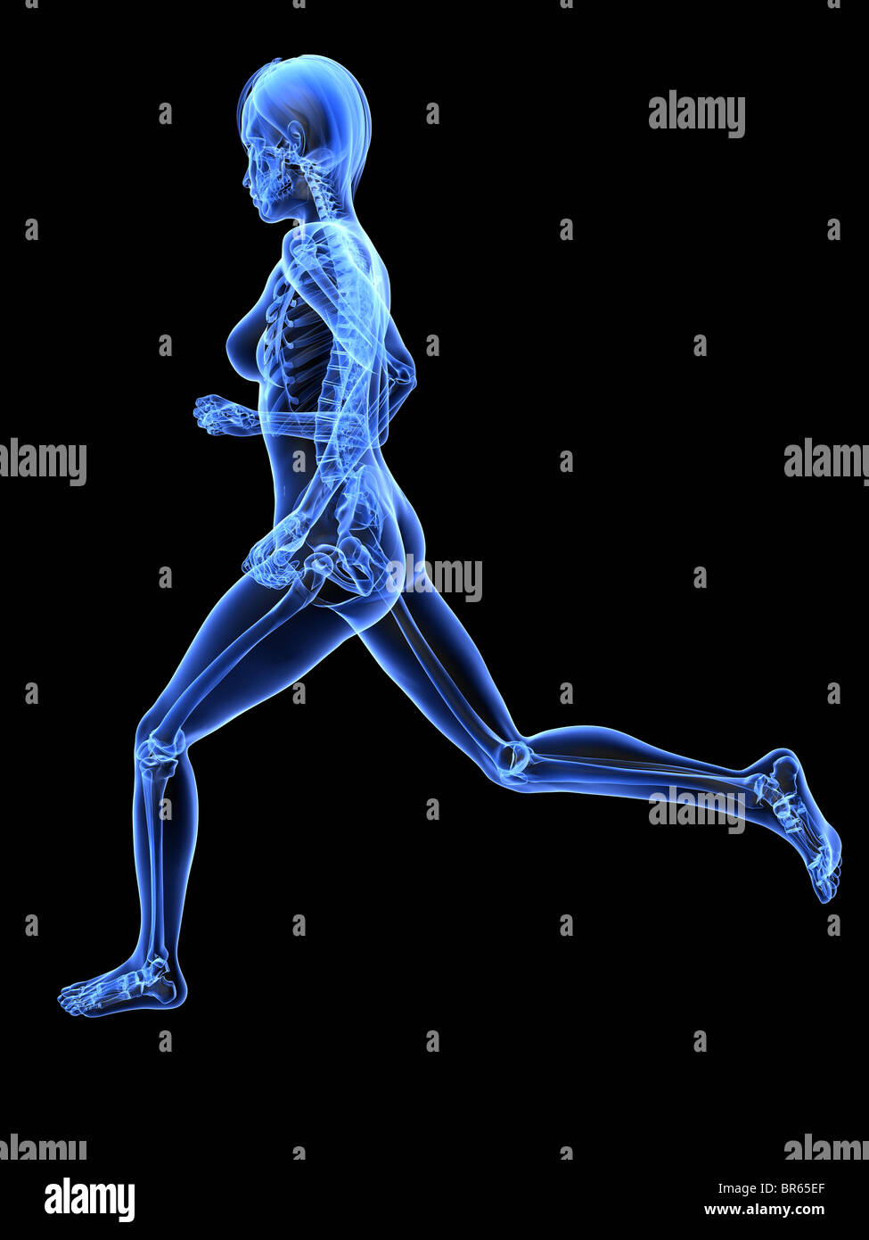 female jogger - x-ray Stock Photo - Alamy