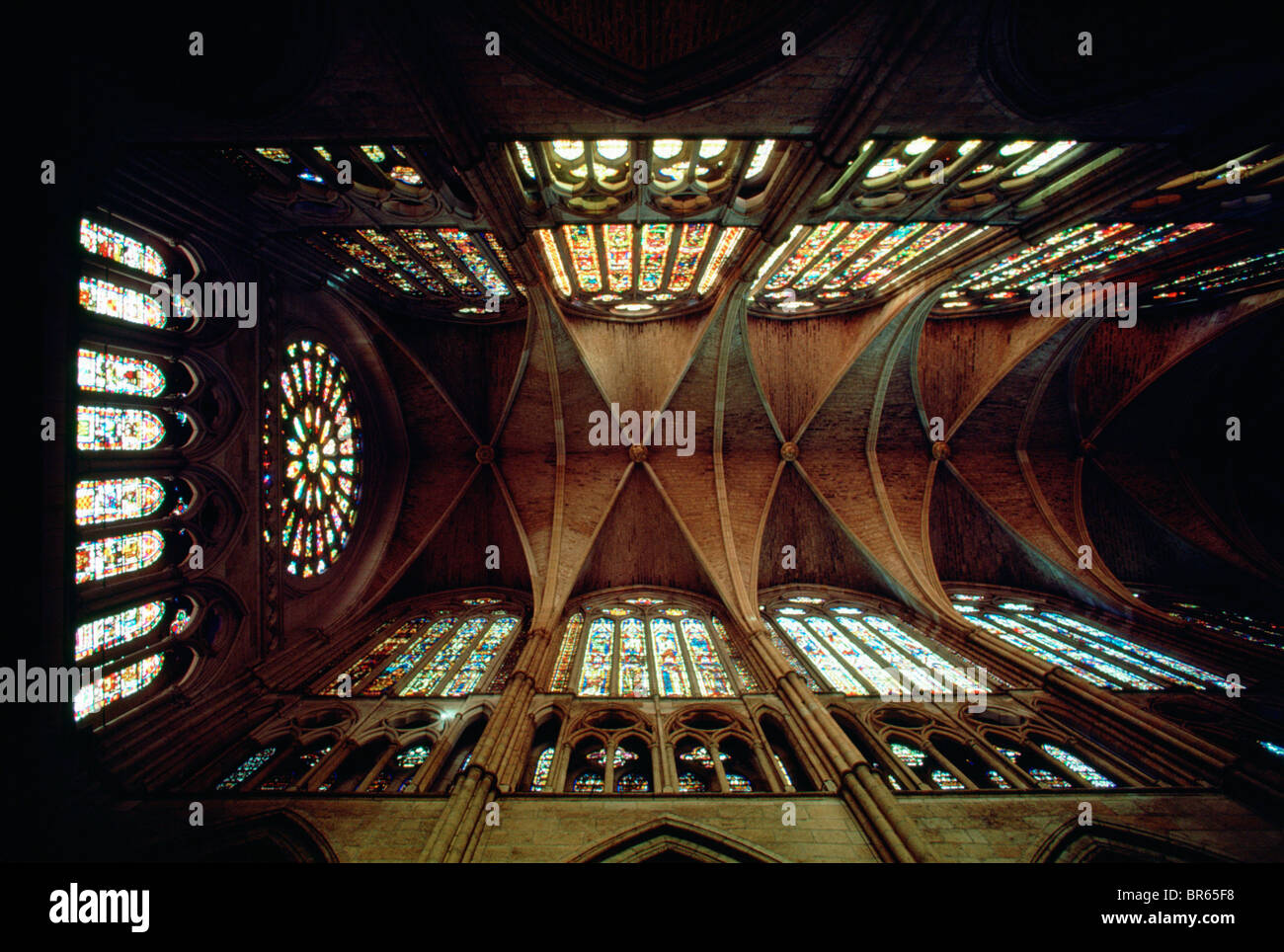 The vaulted ceiling of a cathedral Florida Stock Photo - Alamy