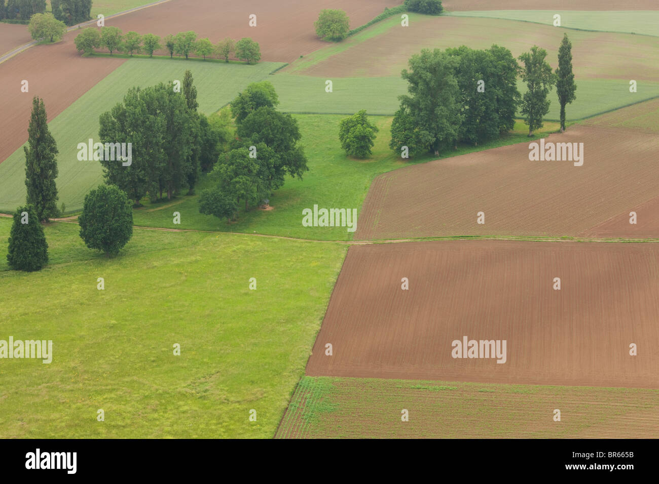Trees amongst fields, Dordogne; France Stock Photo - Alamy