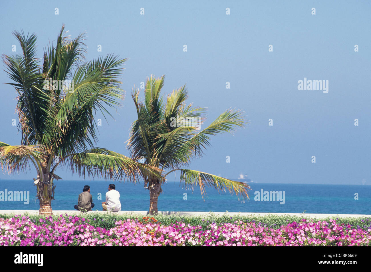 Two men sitting and talking below Palm Tree on the Persian Gulf. Dubai ...