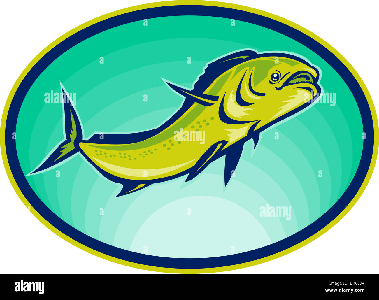 dolphin fish or mahi mahi swimming viewed from a low angle Stock Photo ...