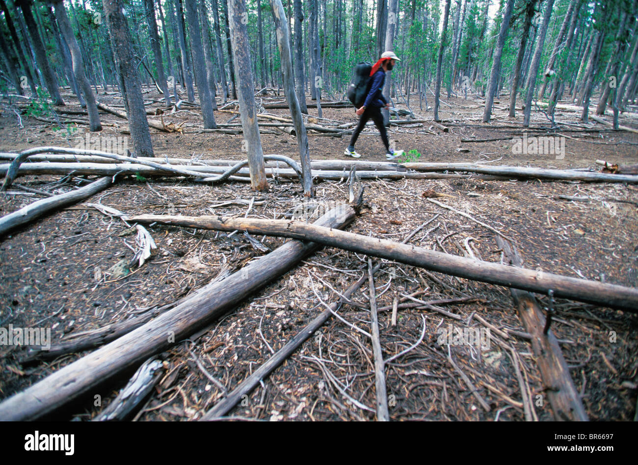 Fallen crater hi-res stock photography and images - Alamy