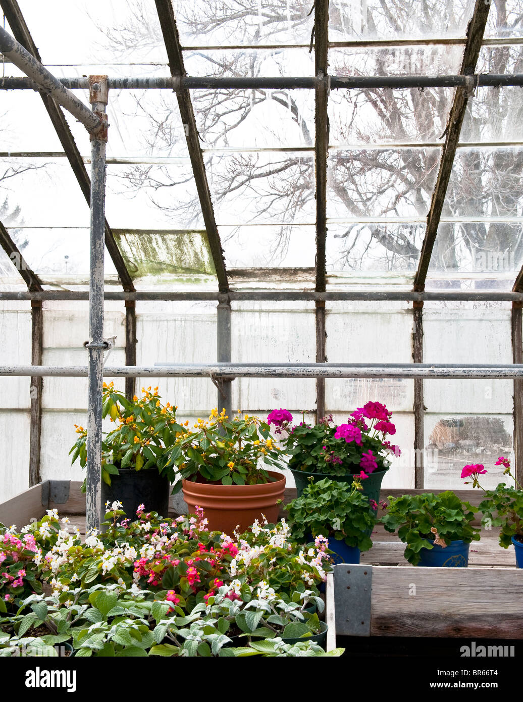 Horticultural Greenhouse High Resolution Stock Photography and Images ...