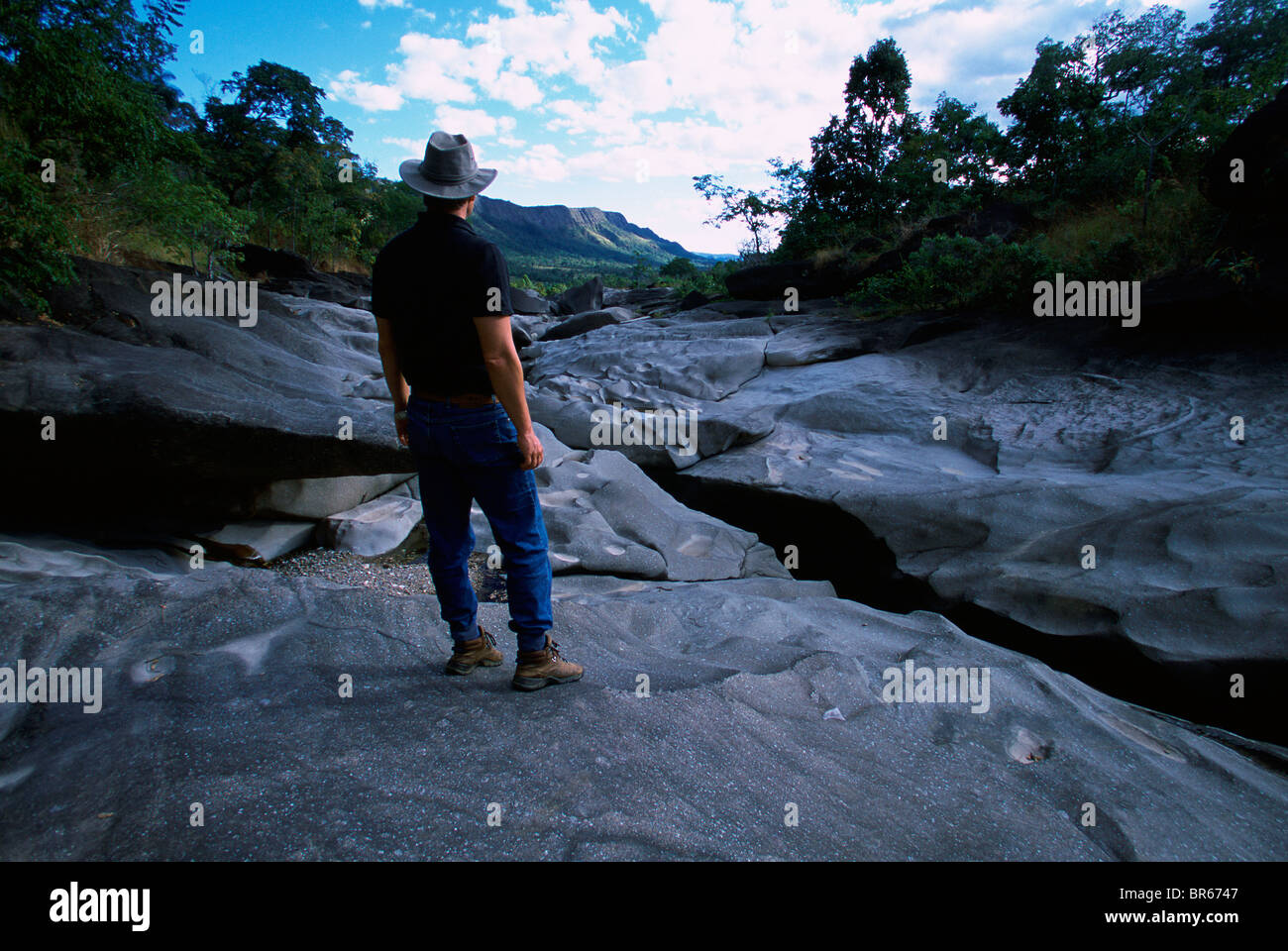Cerrado Ecosystem Brazil Stock Photo - Alamy