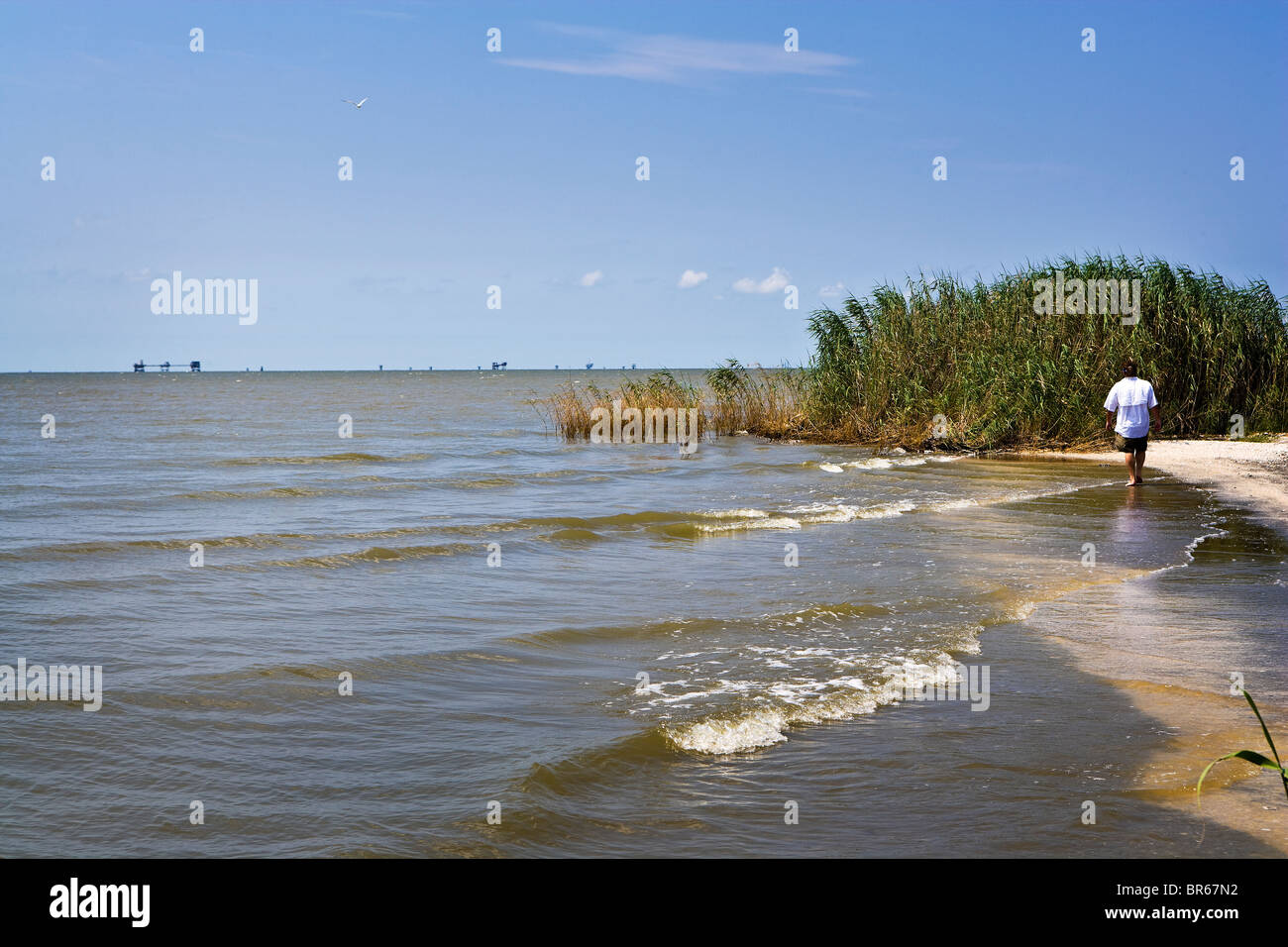 An isolated beach on a remote section of Louisiana's Gulf Coast Stock ...