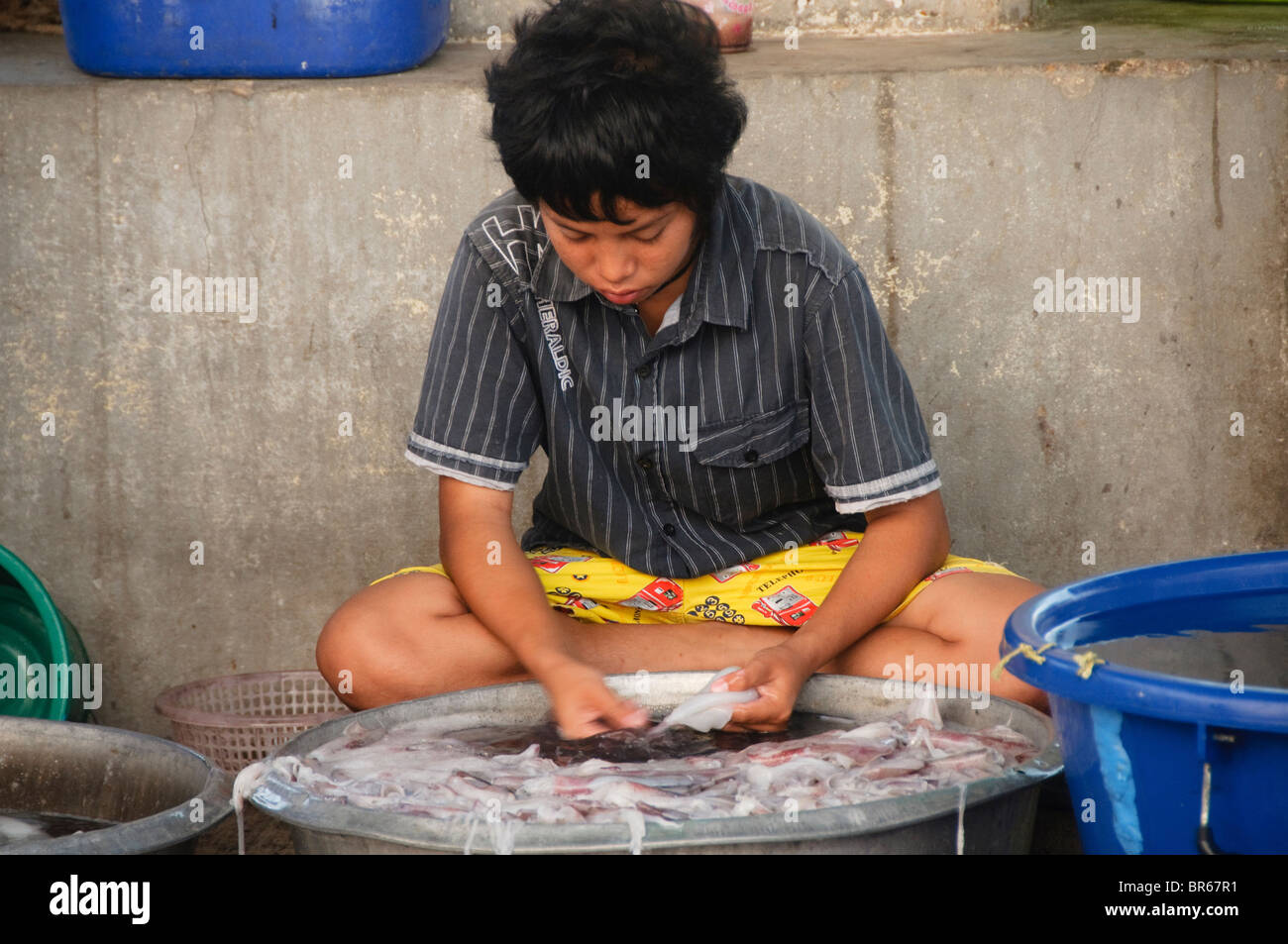 cleaning fresh squid at the market in Hua Hin Thailand Stock Photo - Alamy