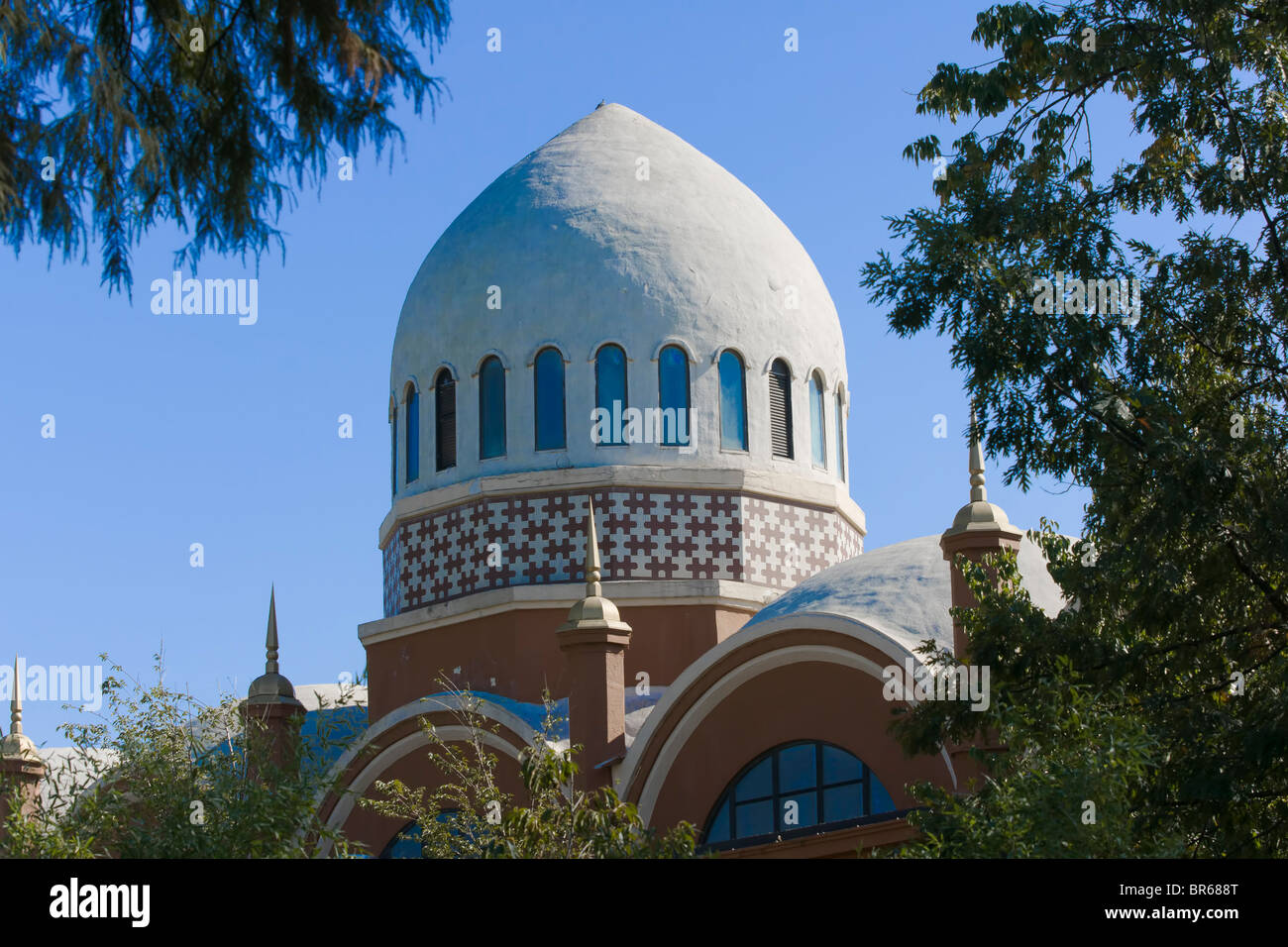 Cincinnati zoo exhibit hi-res stock photography and images - Alamy