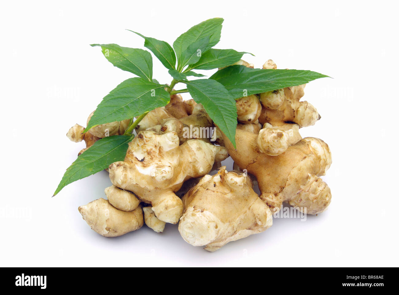 Ingwerwurzel hi-res stock photography and images - Alamy