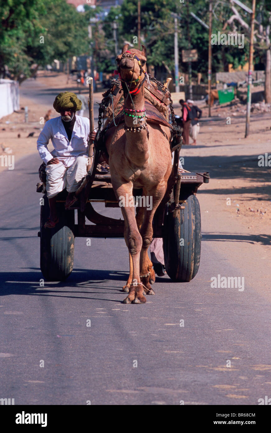 Travelling by camel hi-res stock photography and images - Alamy