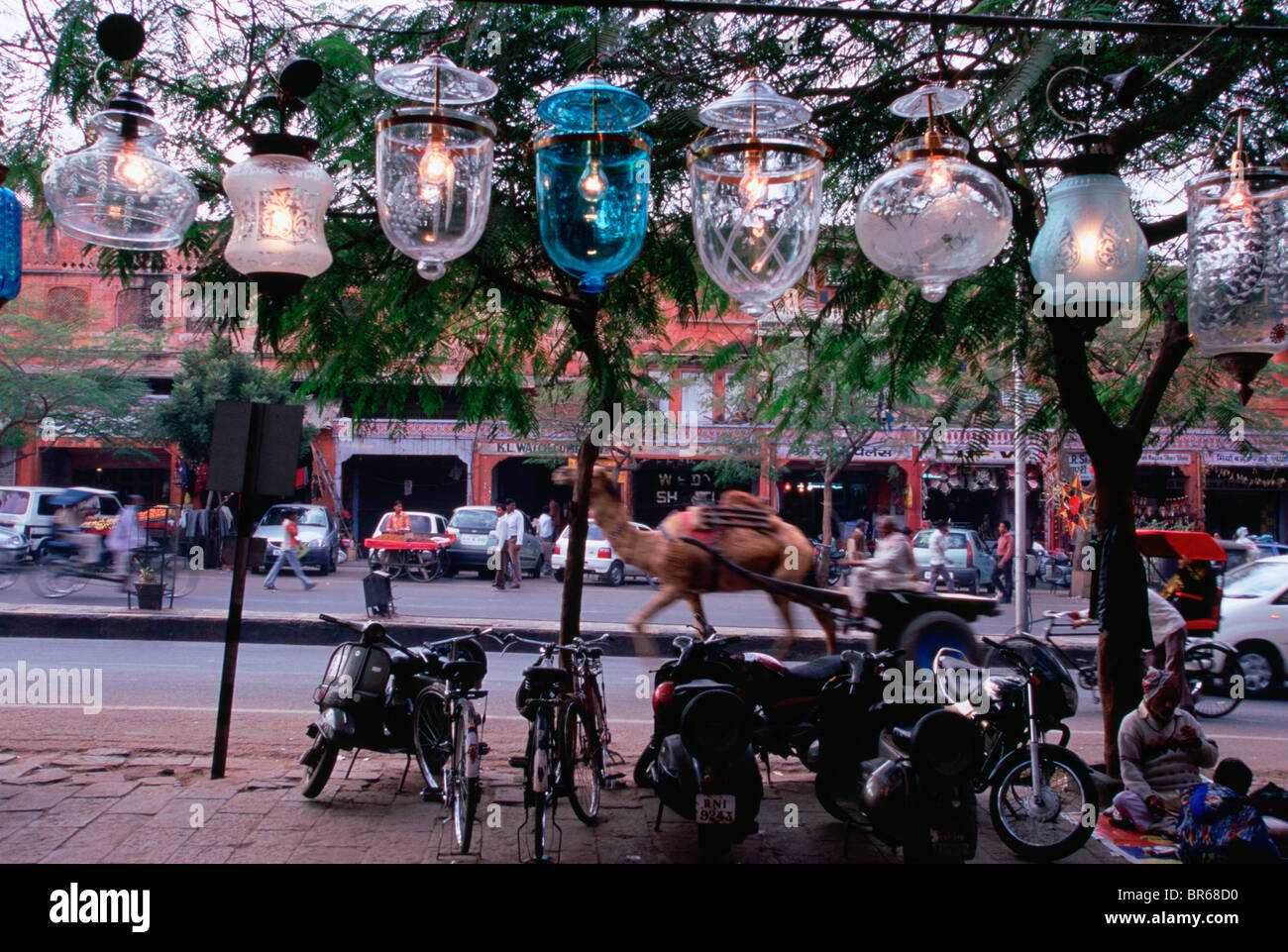 A camel pulling a cart along one of the main streets of Jaipur India ...