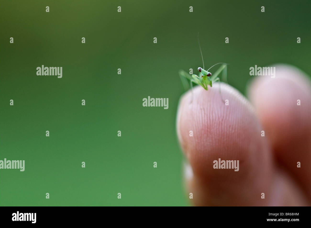 Tiny in comparison hi-res stock photography and images - Alamy