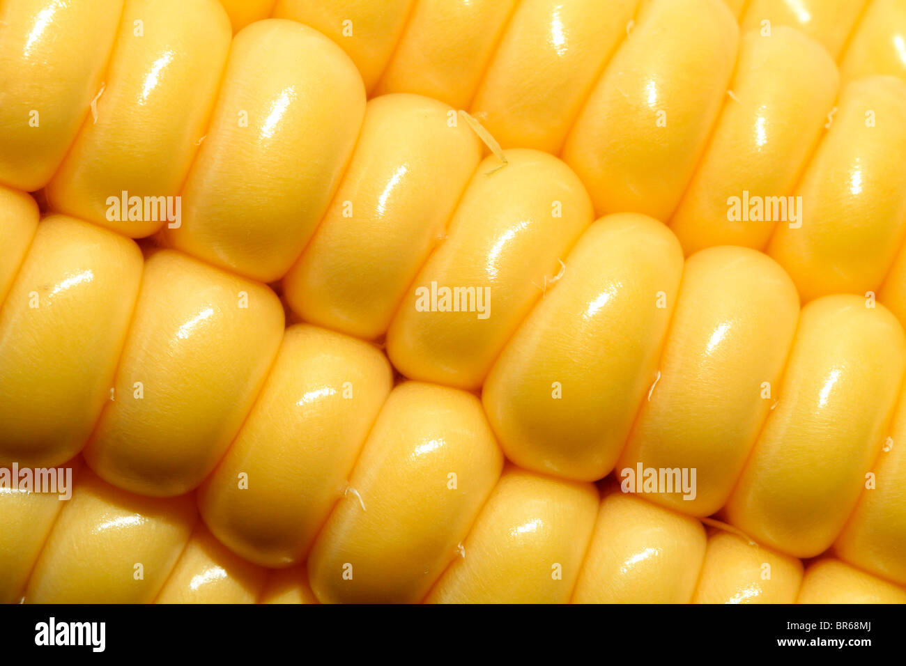 yellow corn cob Stock Photo - Alamy