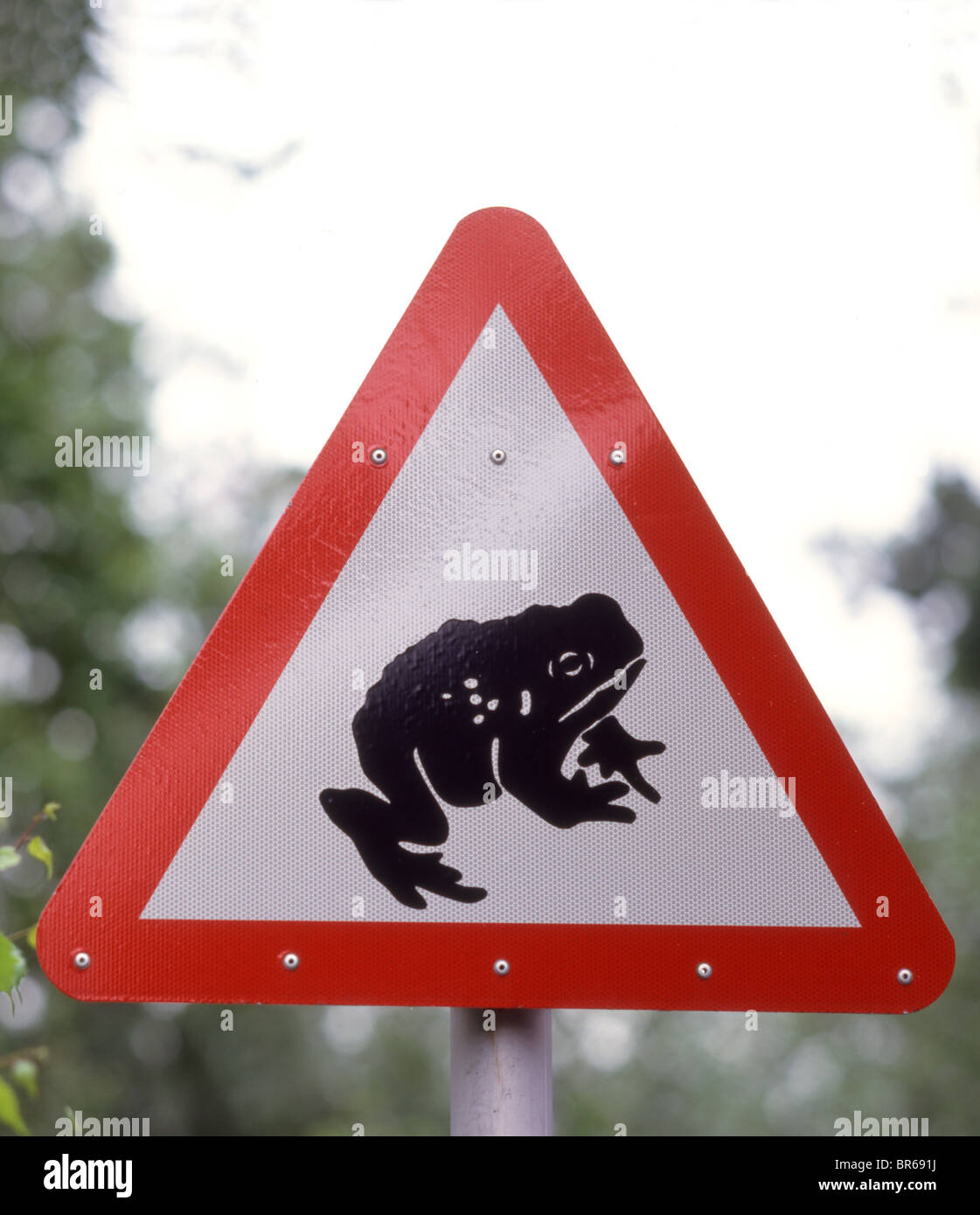 England Toads crossing road sign Stock Photo - Alamy