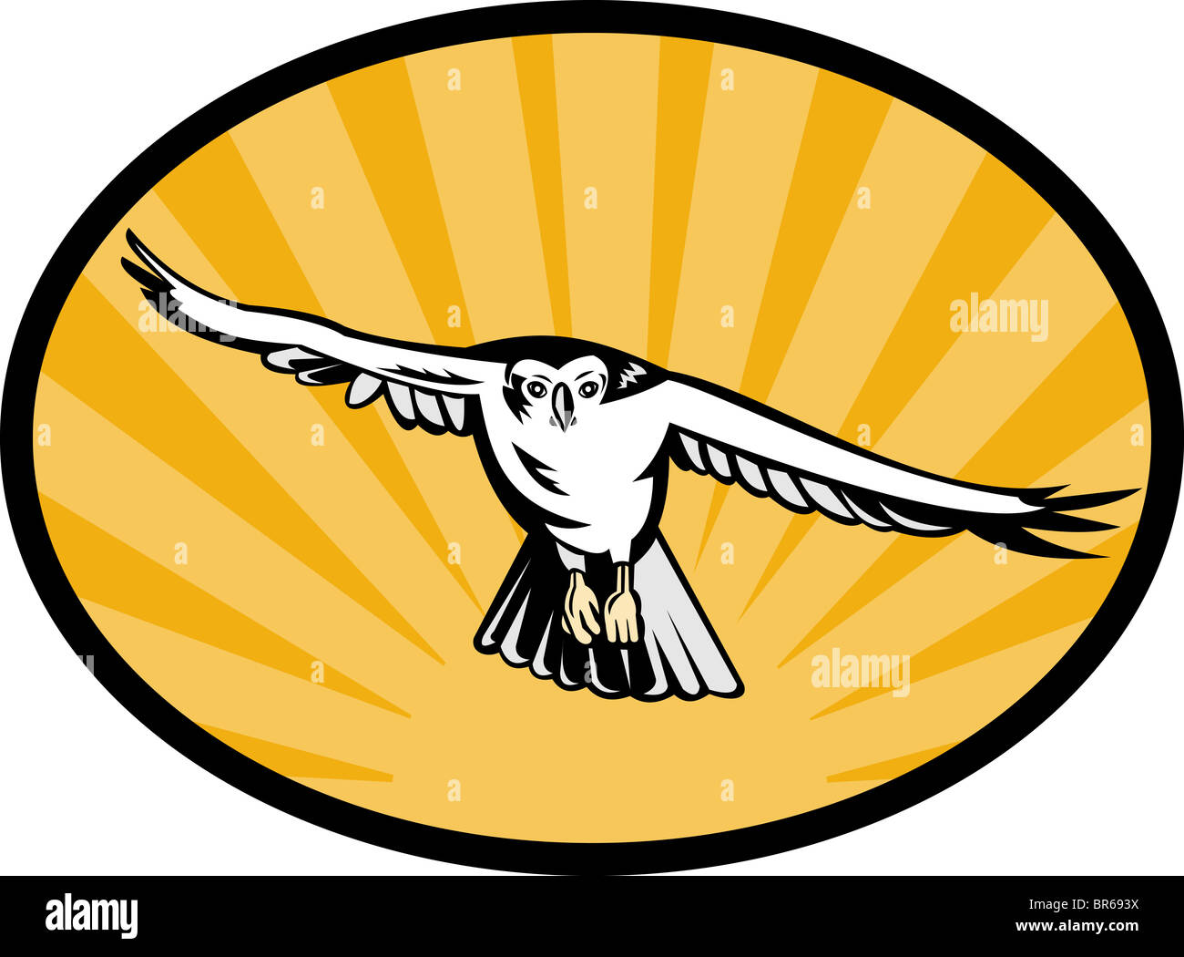 goshawk bird swooping down Stock Photo - Alamy