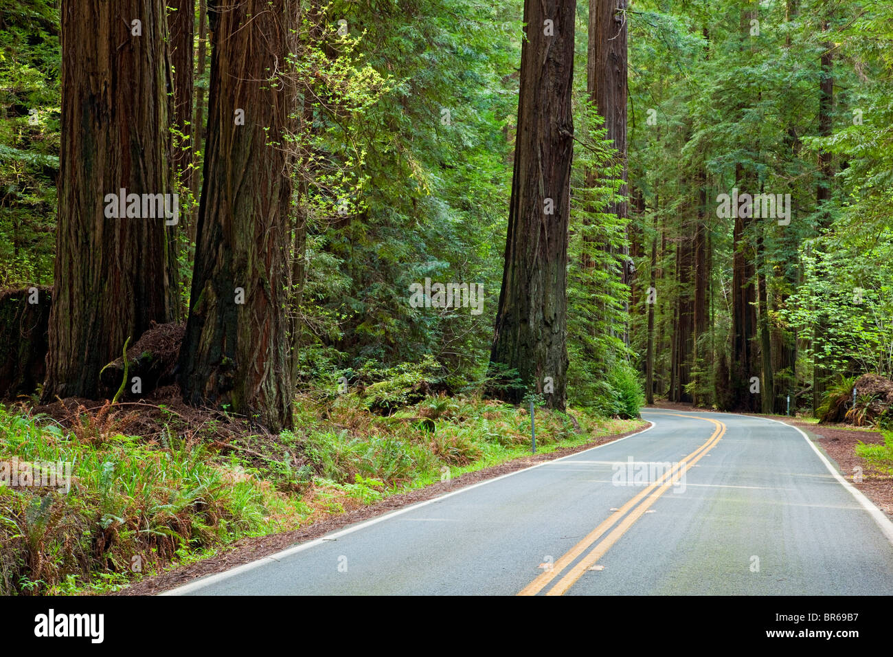 California state park highways hi-res stock photography and images - Alamy