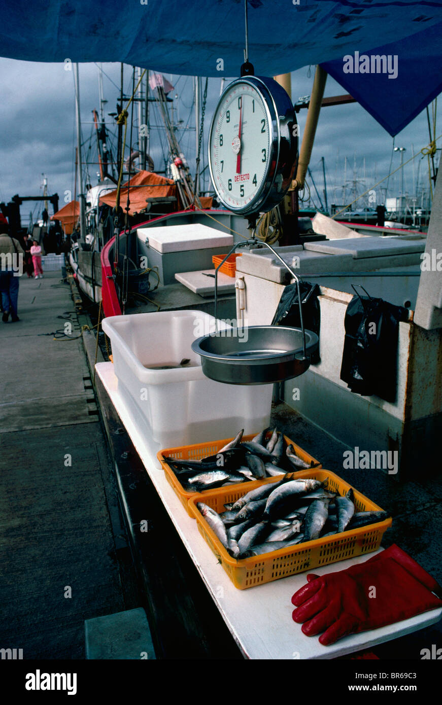 Steveston, BC, British Columbia, Canada - Fish for Sale on Commercial ...