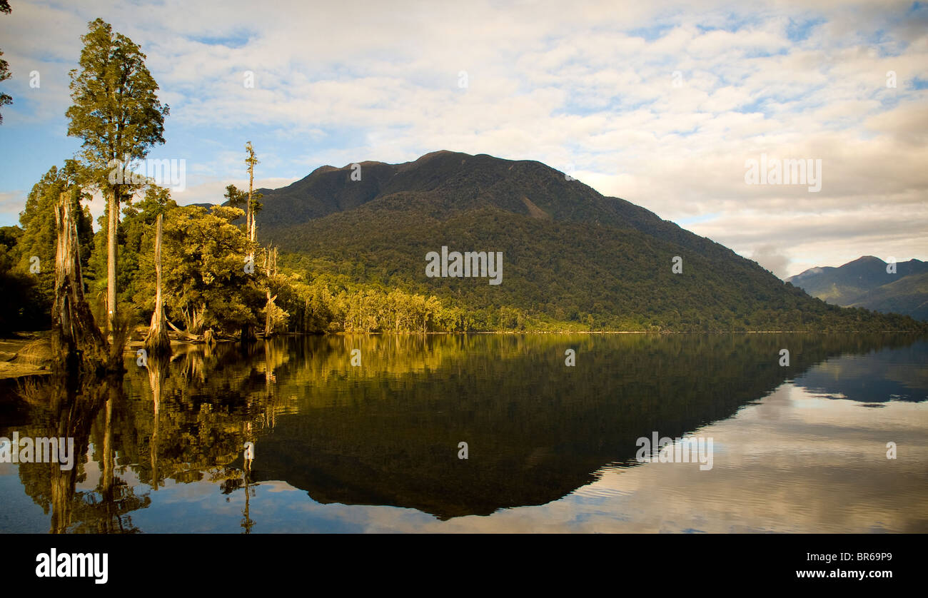 Forest reflections on lake edge Stock Photo - Alamy