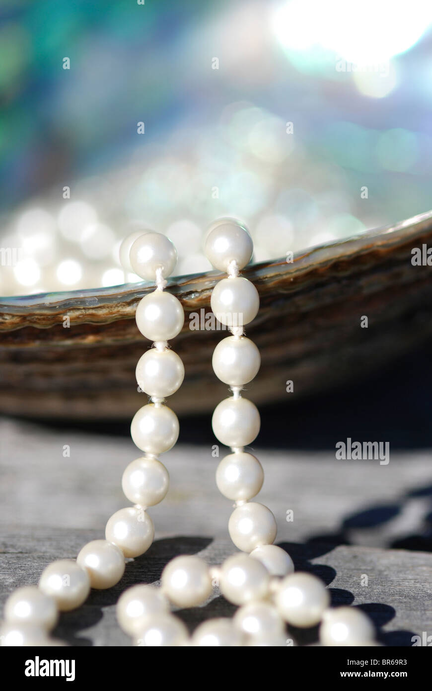 white pearls in shell Stock Photo - Alamy