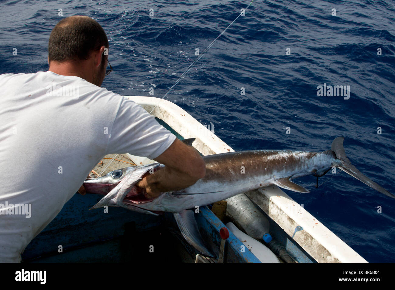 Swordfish fishing hi-res stock photography and images - Alamy