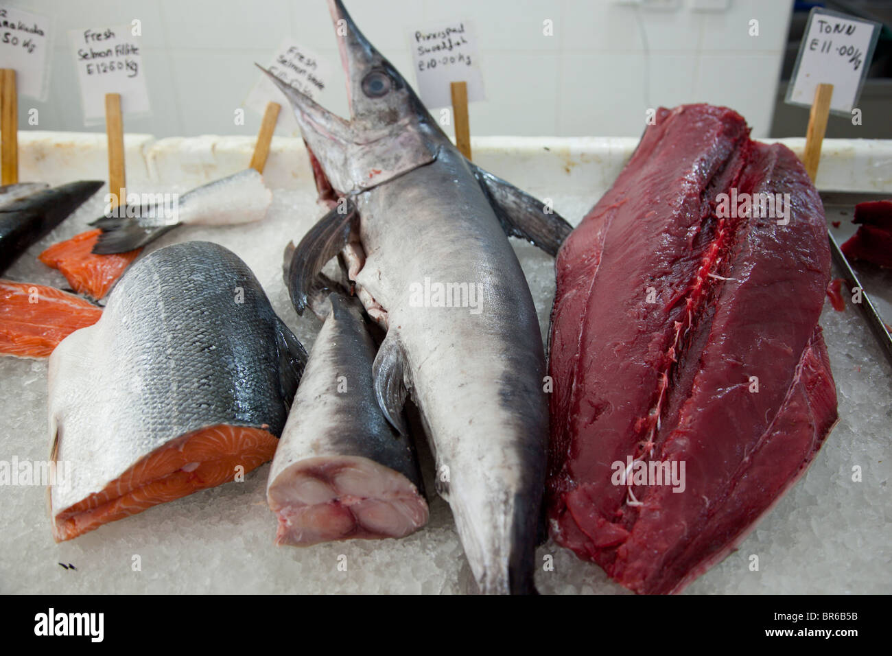 An assortment of fishes placed on ice at a fishmonger's in Malta Stock ...
