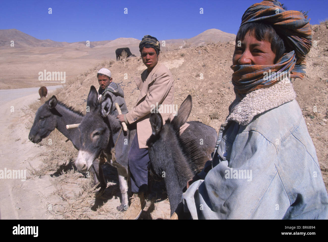 Young boys on donkeys watch over flocks of goats sheep and donkeys near the top of the Shebar ...
