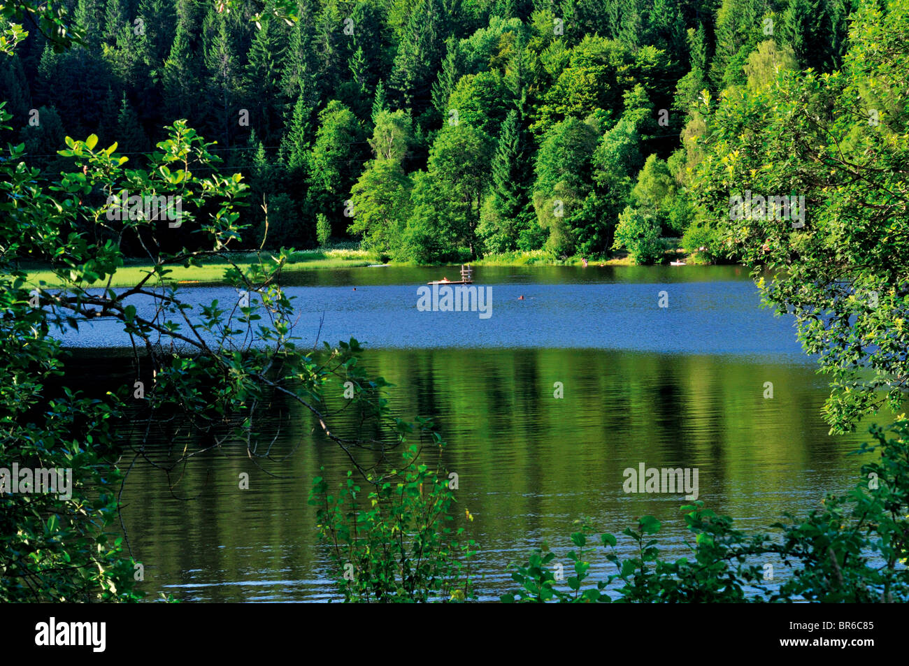 Germany, Black Forest: Lake "Klosterweiher" in Dachsberg Stock Photo ...