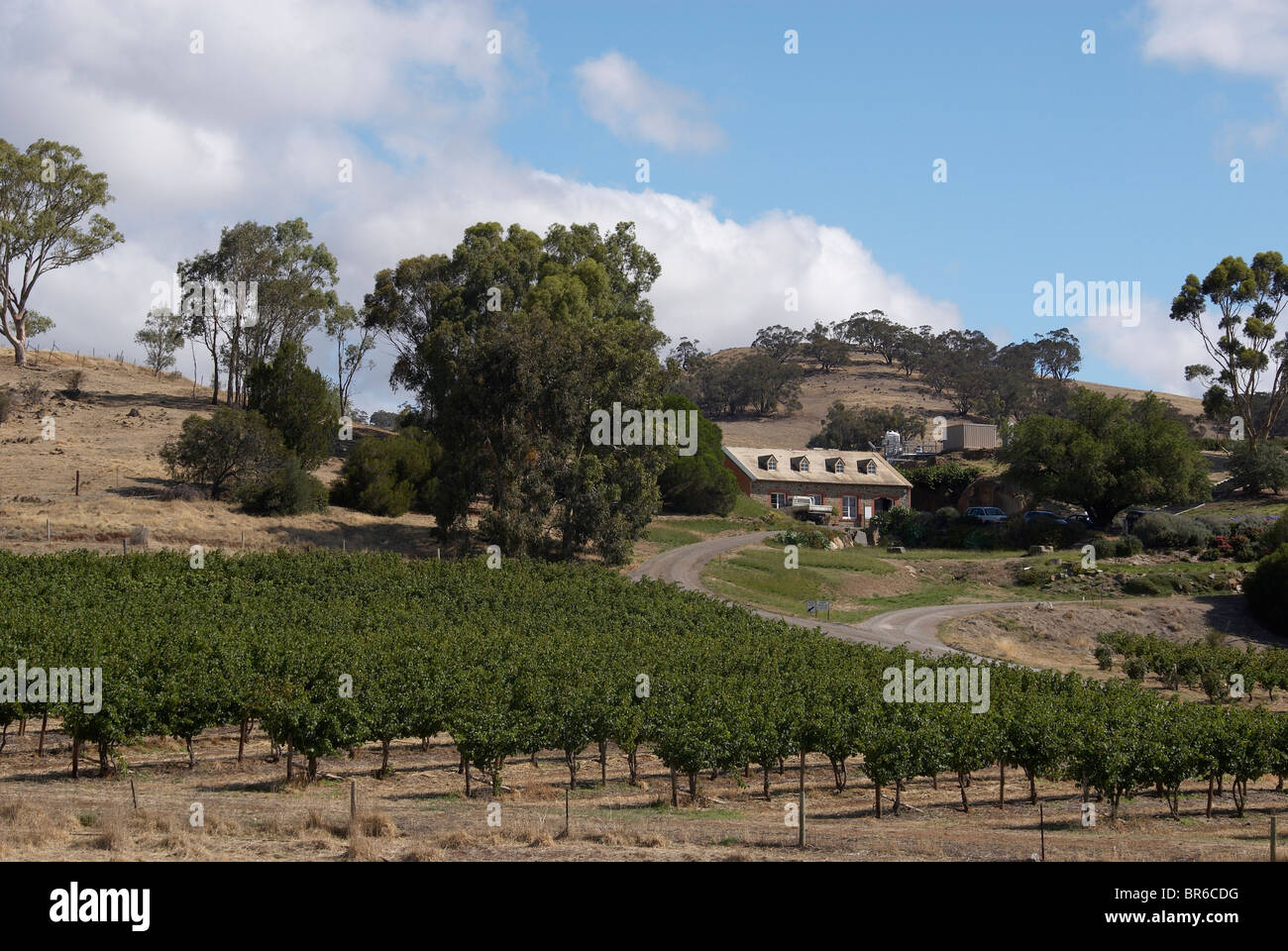 Barossa Valley. Adelaide Hills Australia Stock Photo - Alamy