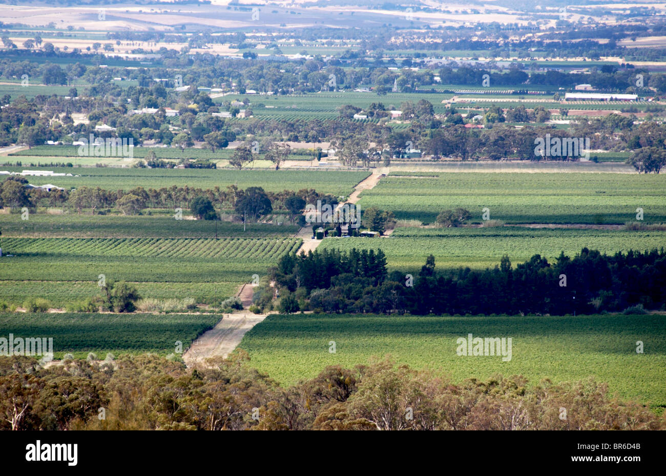 Barossa Valley. Adelaide Hills Australia Stock Photo - Alamy