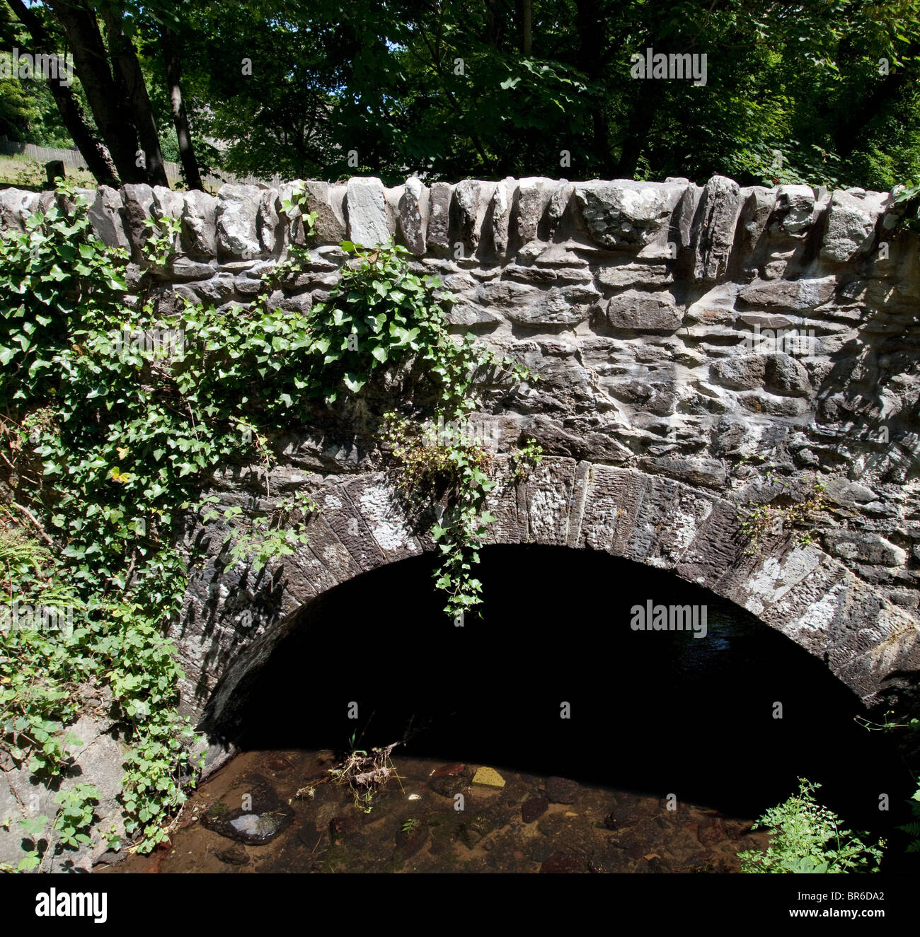 old medieval bridge over stream, st davids, pembrokeshire, dyfed wales ...