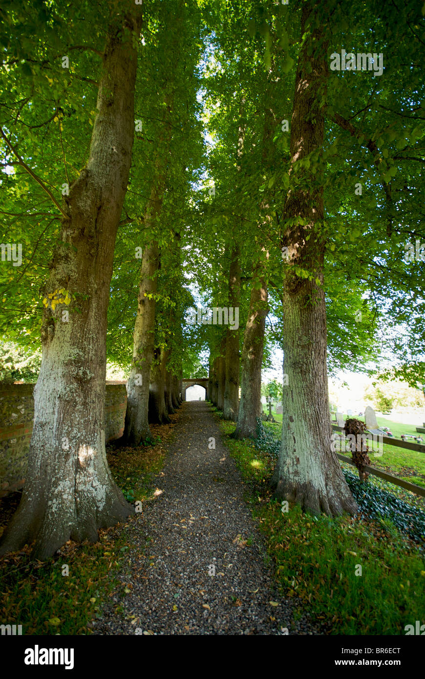 Great shefford church hi-res stock photography and images - Alamy