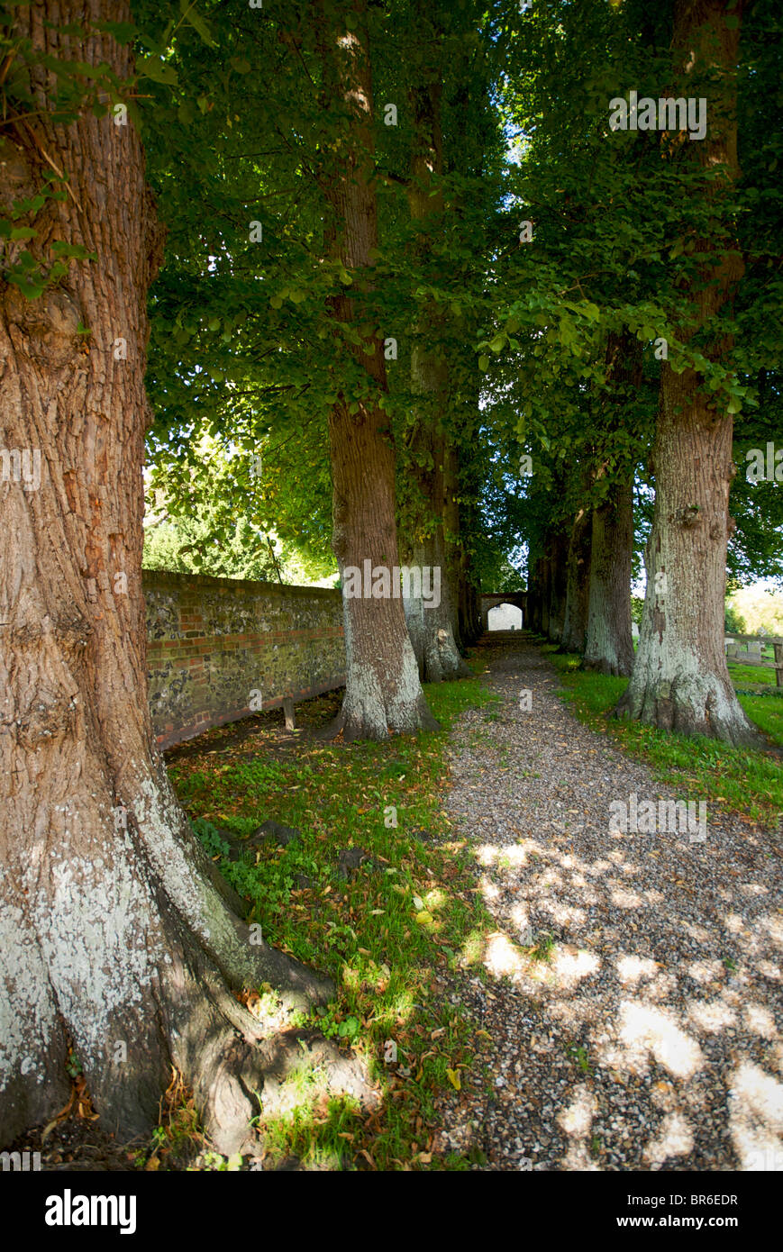 Great shefford church hi-res stock photography and images - Alamy