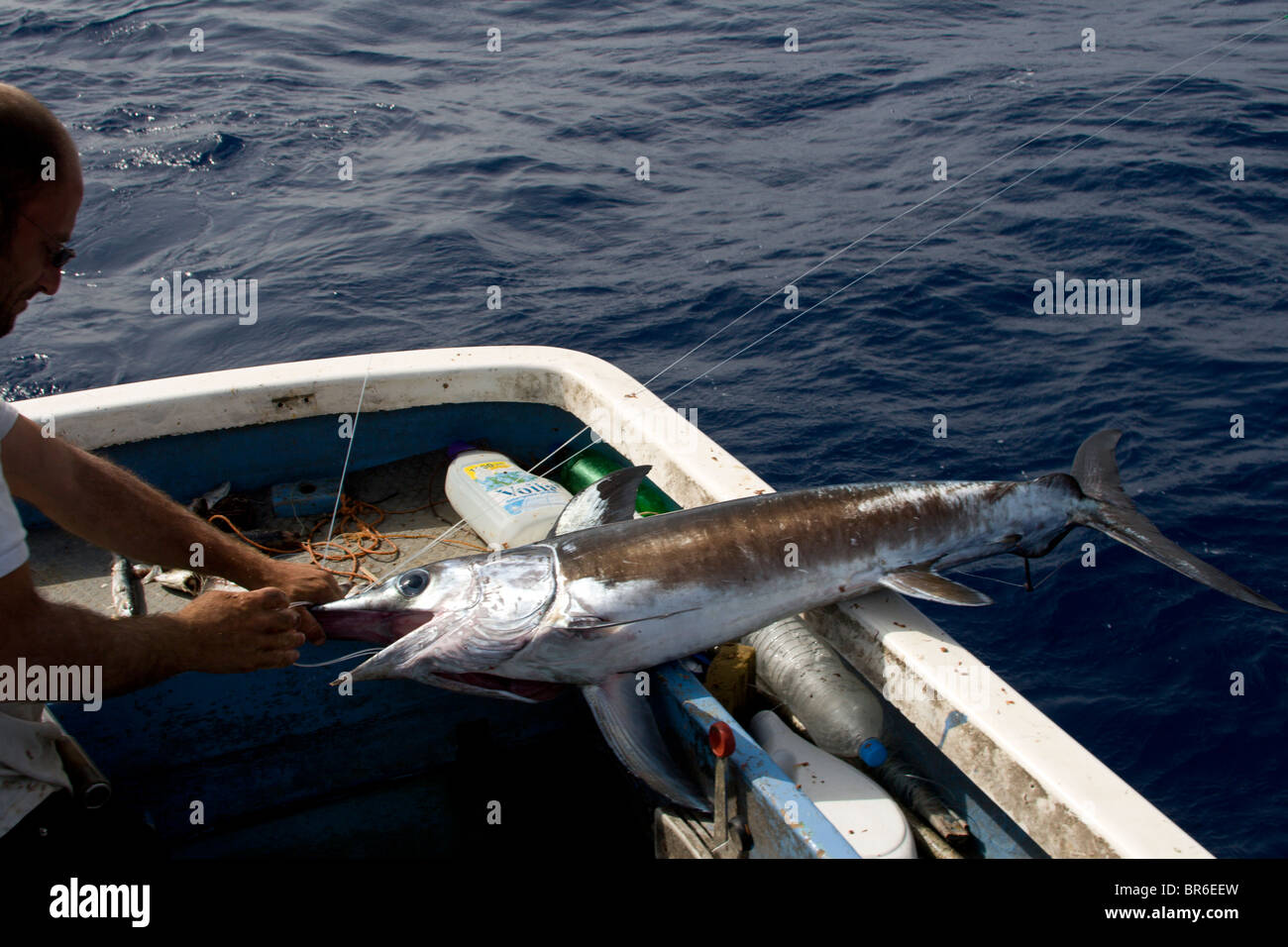 A fishermen hauling a swordfish hooked in a longline in the central ...