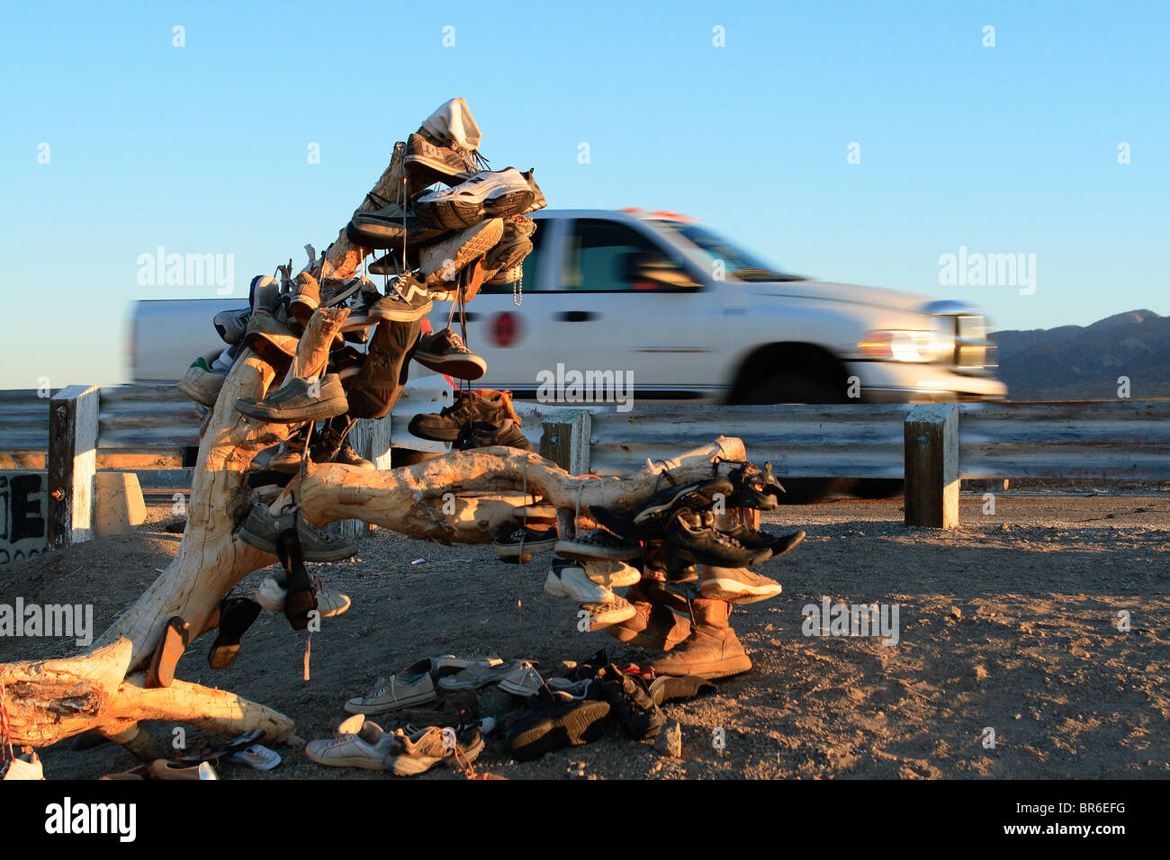 Shoe tree route 66 hi-res stock photography and images - Alamy
