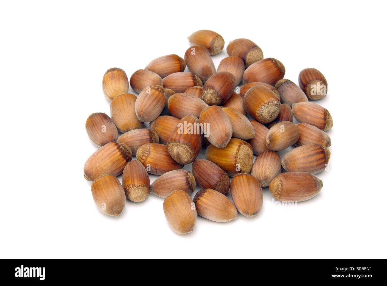 Haselnuss - hazelnut 15 Stock Photo - Alamy