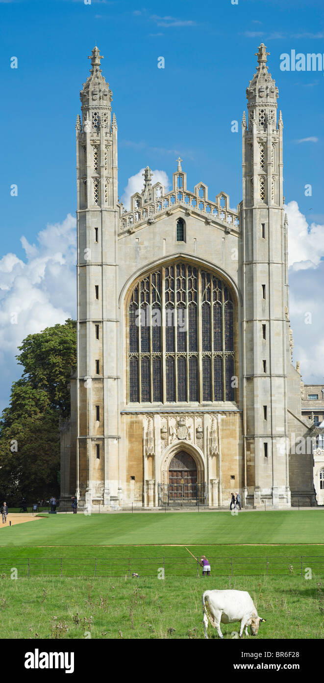 The 'backs' outside the west front of King's college chapel, Cambridge ...