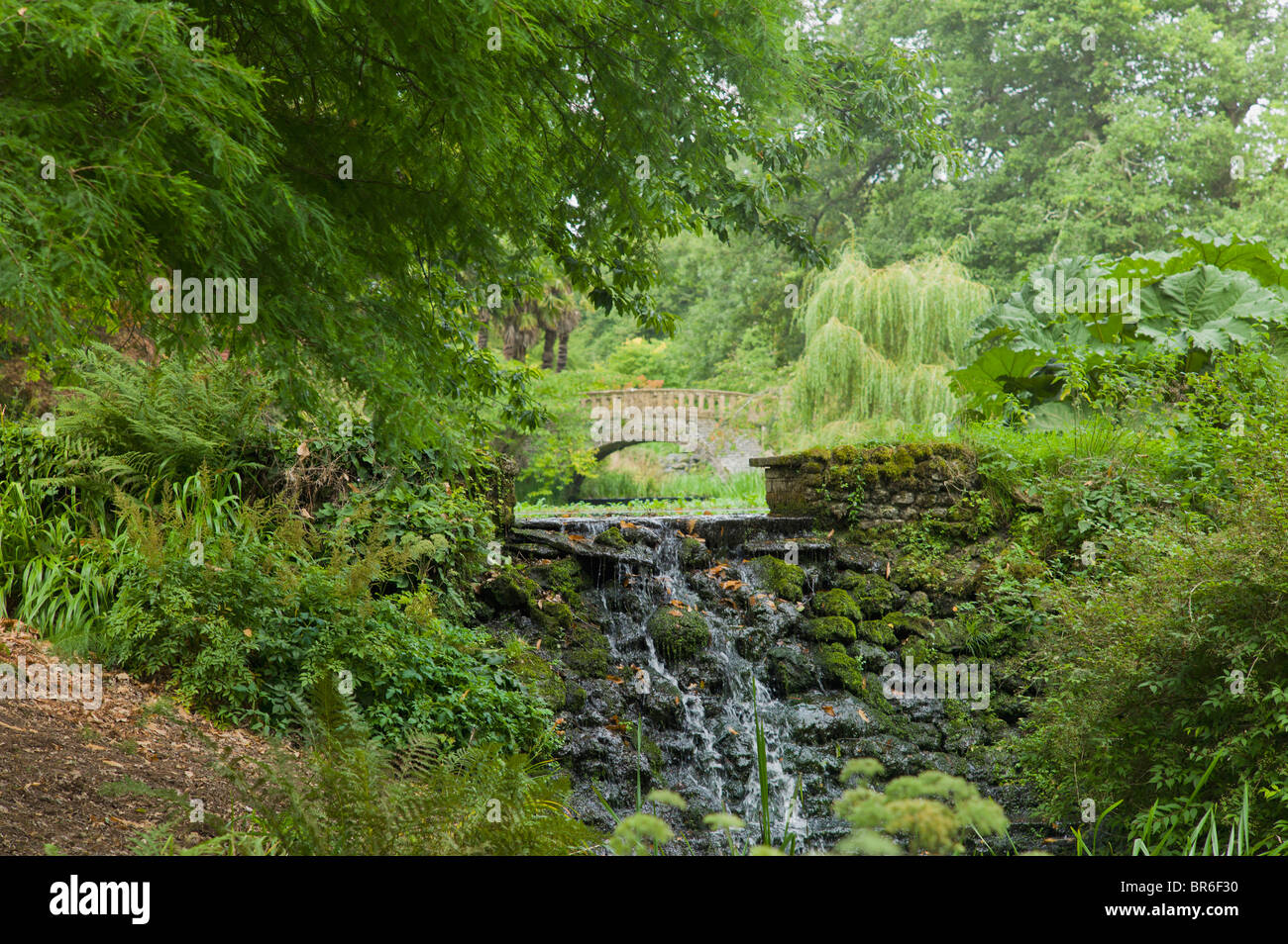 gardens minterne house dorset Stock Photo - Alamy