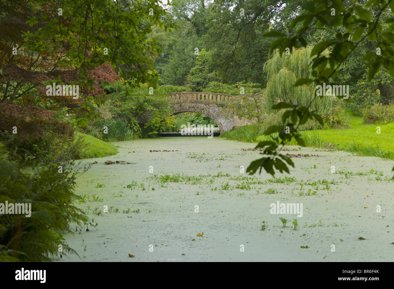 gardens estate grounds of minterne house dorset Stock Photo - Alamy