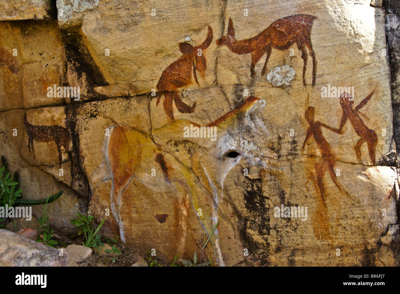 Bushman paintings, Clanwilliam, Western Cape, South Africa Stock Photo ...