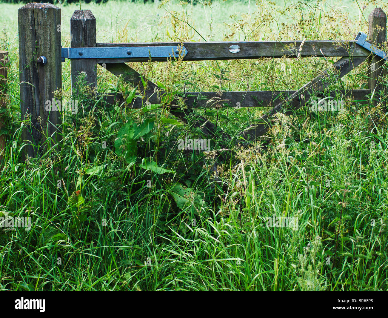 old gate entrance to field Stock Photo - Alamy