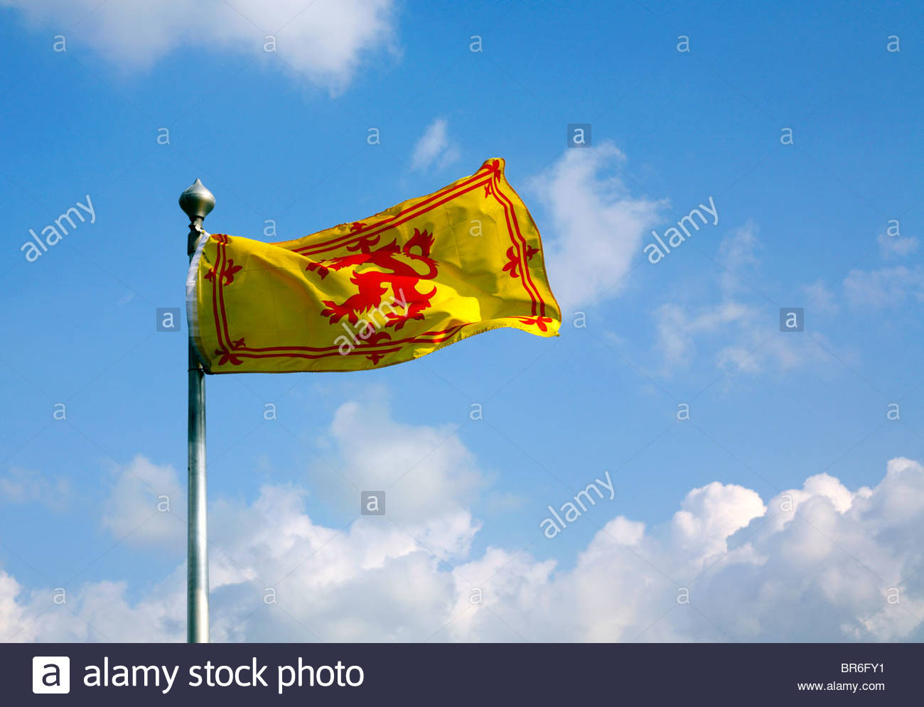 Rampant lion scotland hi-res stock photography and images - Alamy