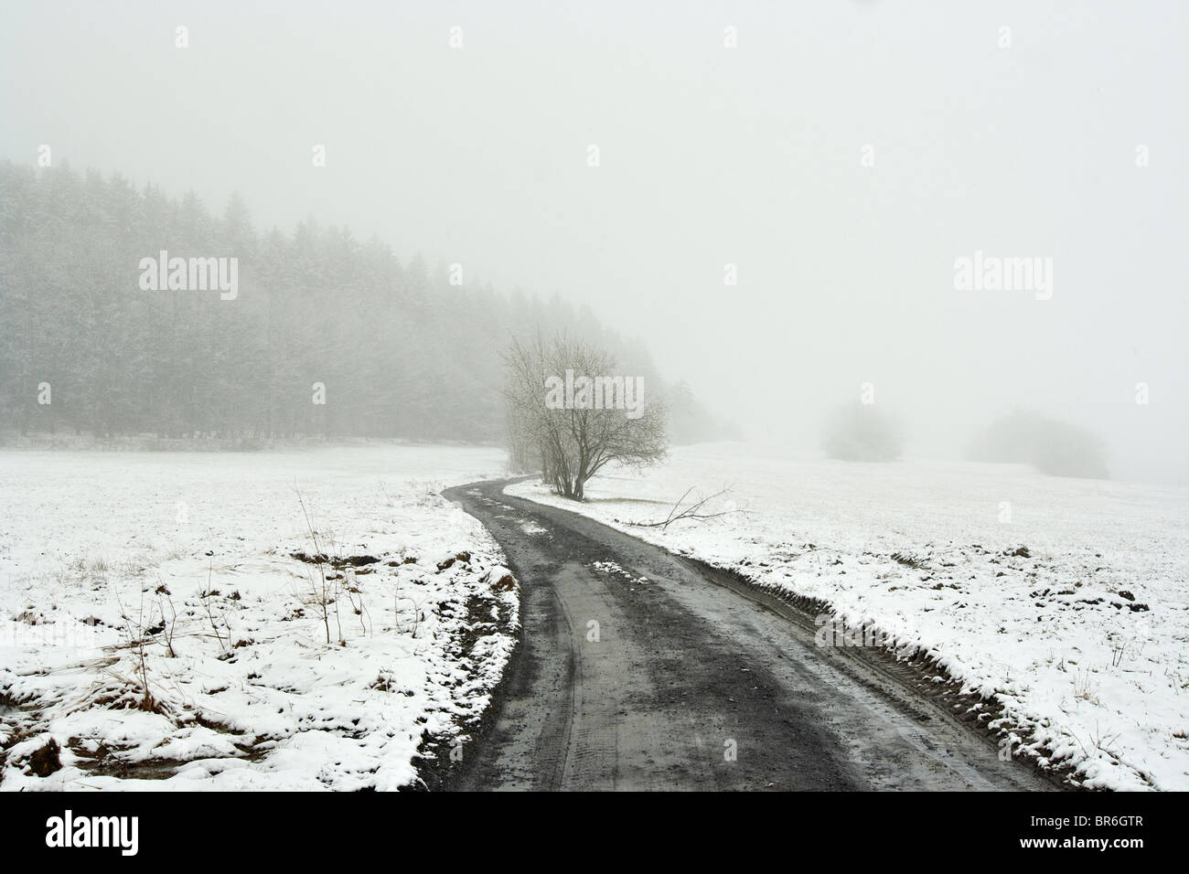 snowy winter landscape with dirt road Stock Photo - Alamy