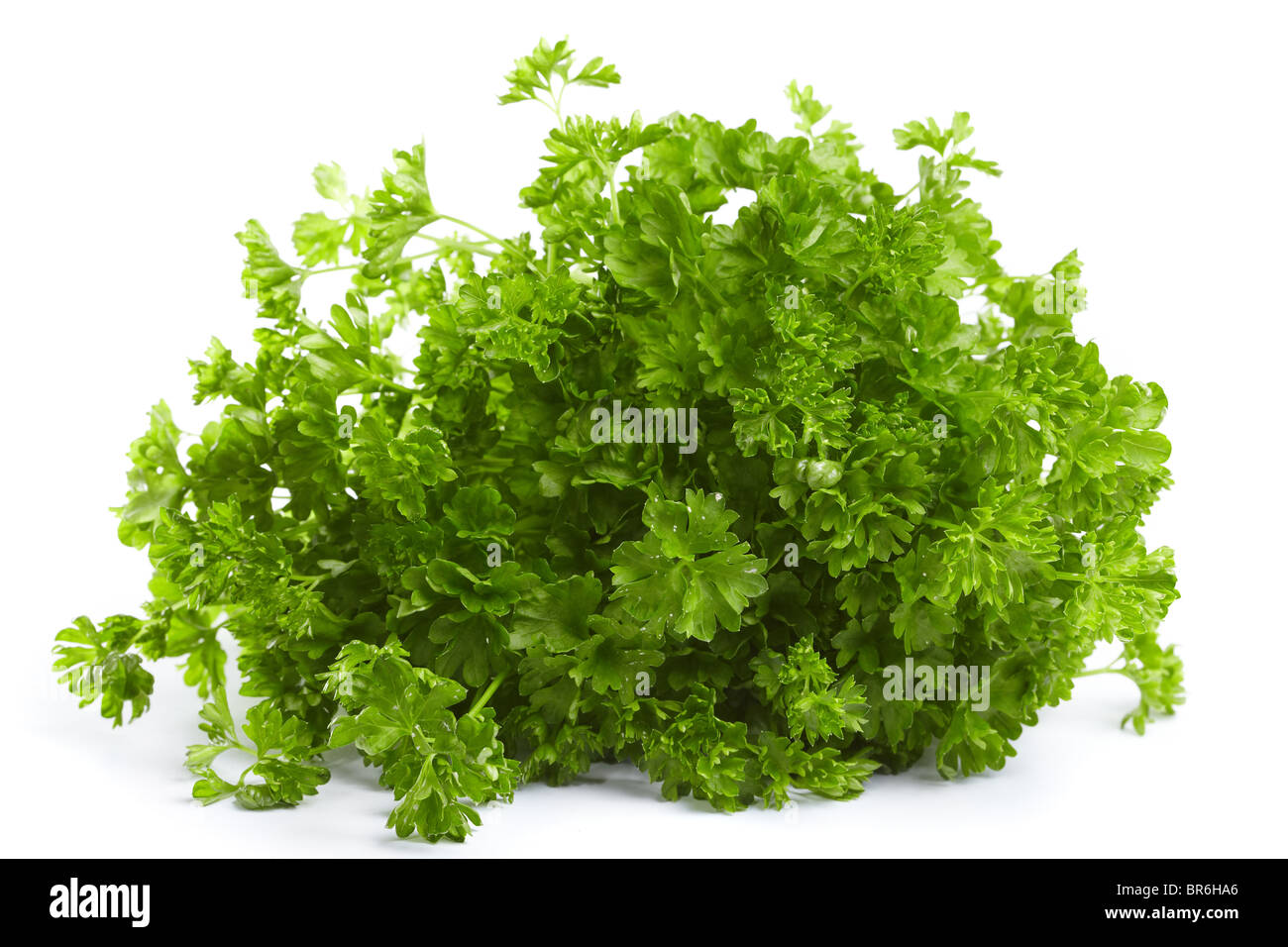 Fresh kitchen herb spice Cut Out Stock Images & Pictures - Alamy
