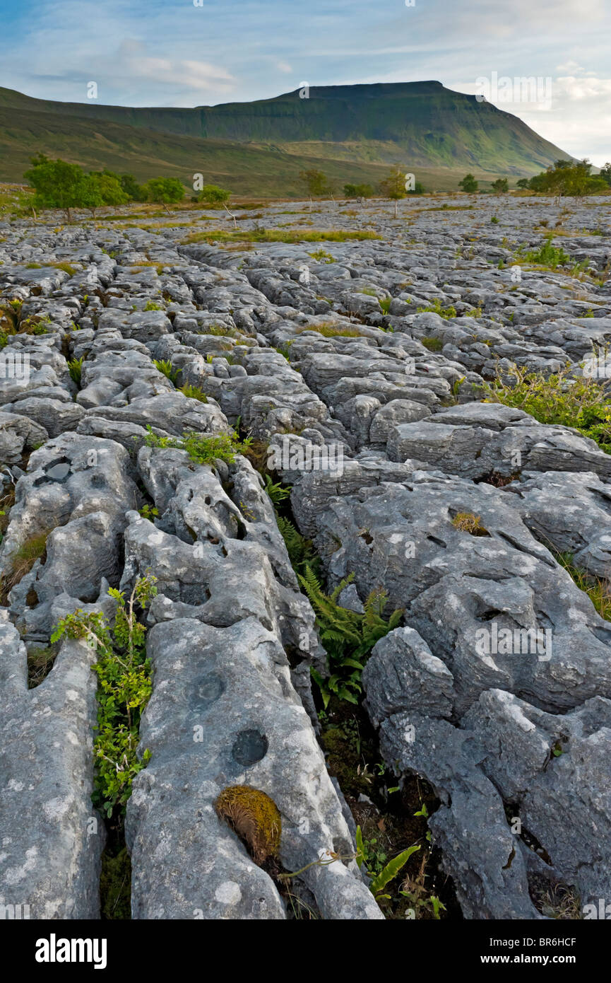 White stone pavement hi-res stock photography and images - Alamy
