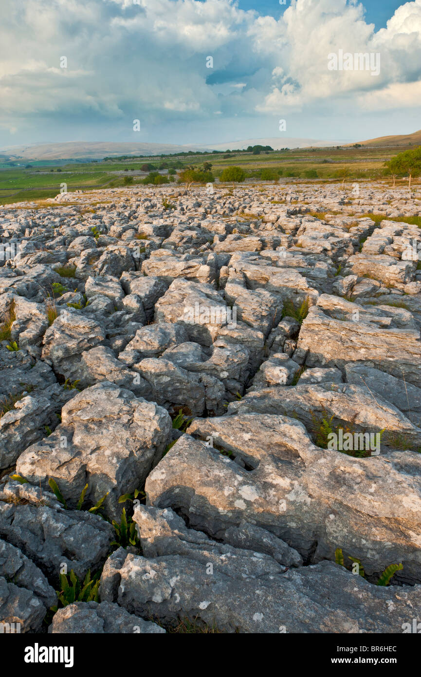 White Scar Limestone Pavement, Ingelton. North Yorkshire. Yorkshire ...