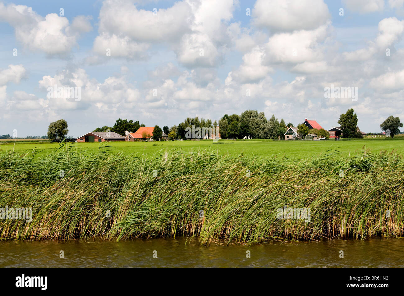 Farm house farming farmer Friesland Netherlands Stock Photo - Alamy