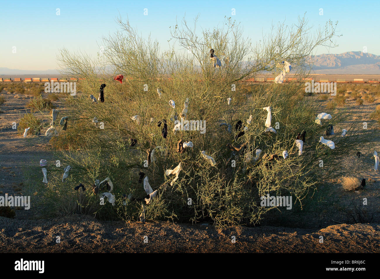 Folklore tree hi-res stock photography and images - Alamy