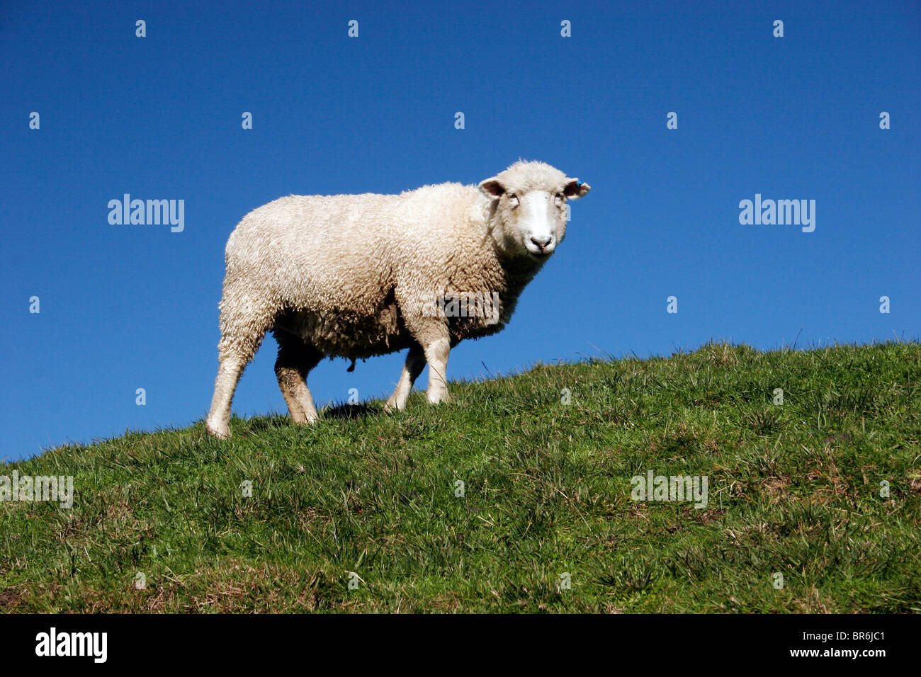 Rural framland hi-res stock photography and images - Alamy