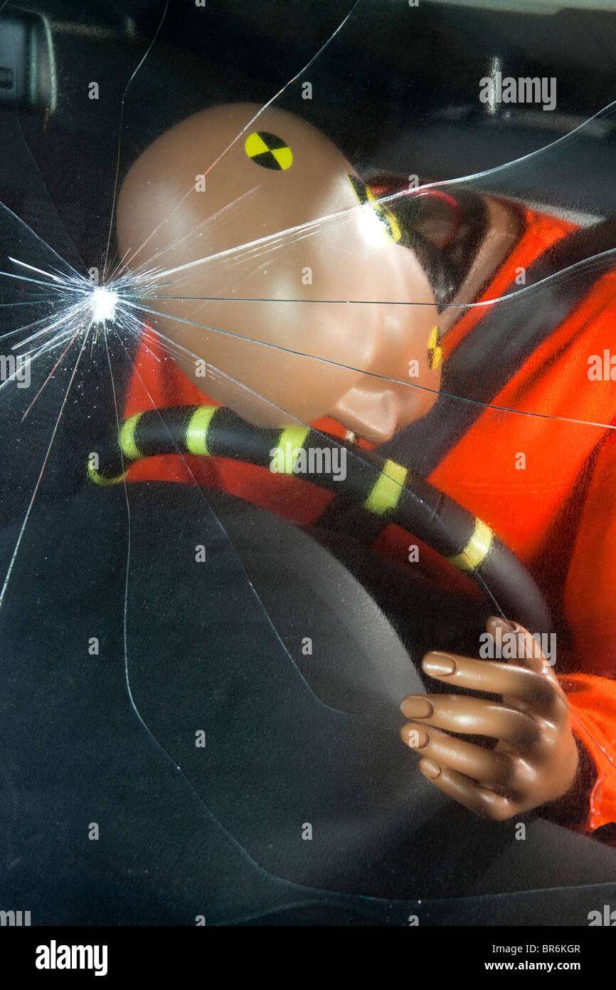 A windshield cracked by the impact of a crash test dummy's head Stock ...