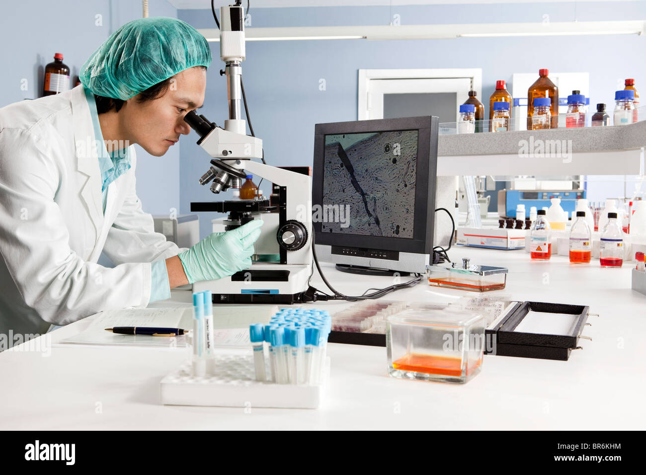 A lab technician looking into a microscope in a laboratory Stock Photo ...